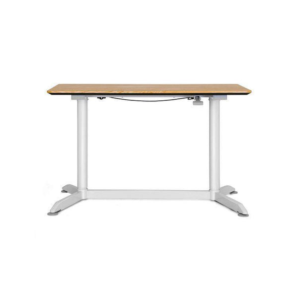 Electric Standing Desk Frame