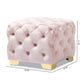 Avara Glam and Luxe Light Pink Velvet Fabric Upholstered Gold Finished ...